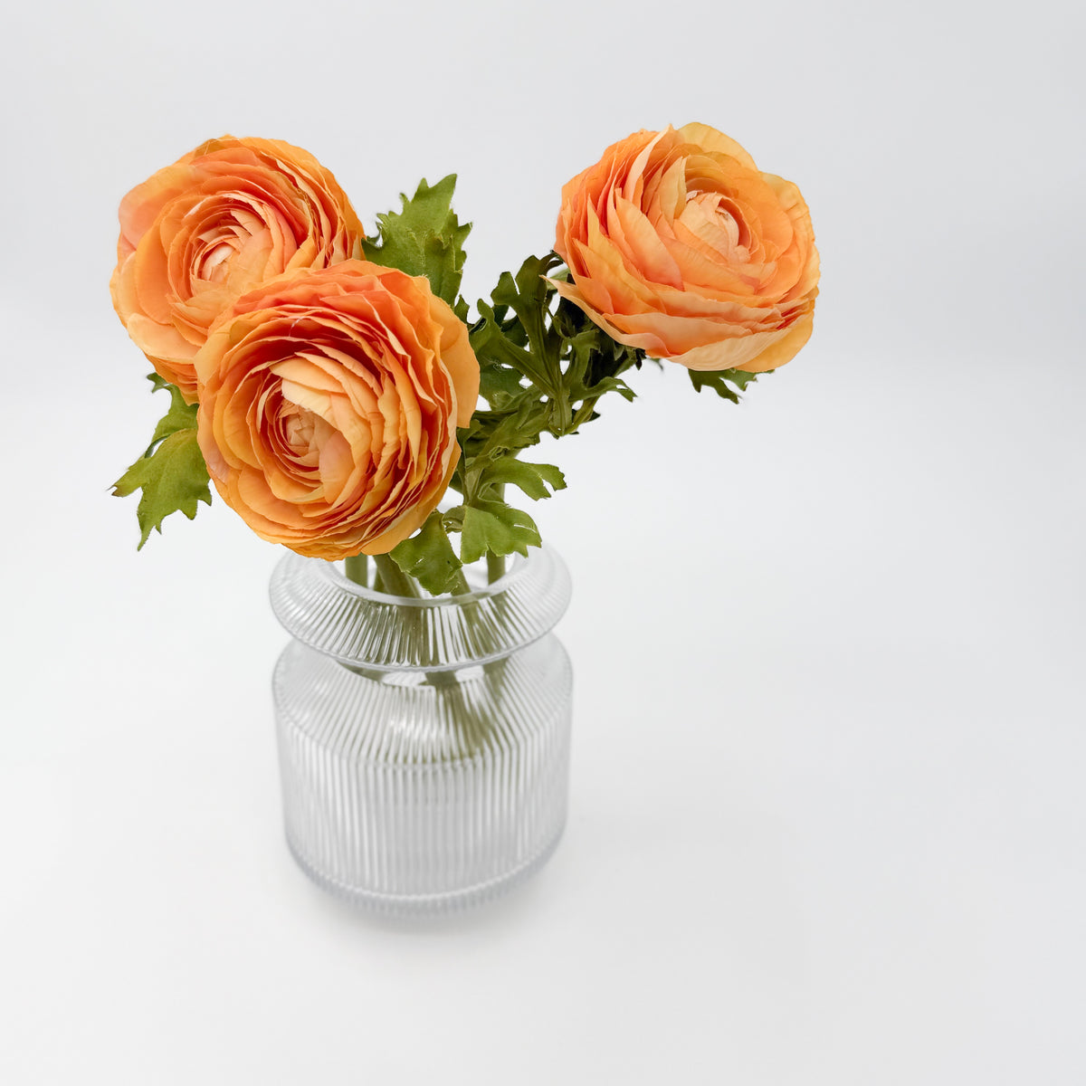 Small Ribbed Glass Vase – EK Home