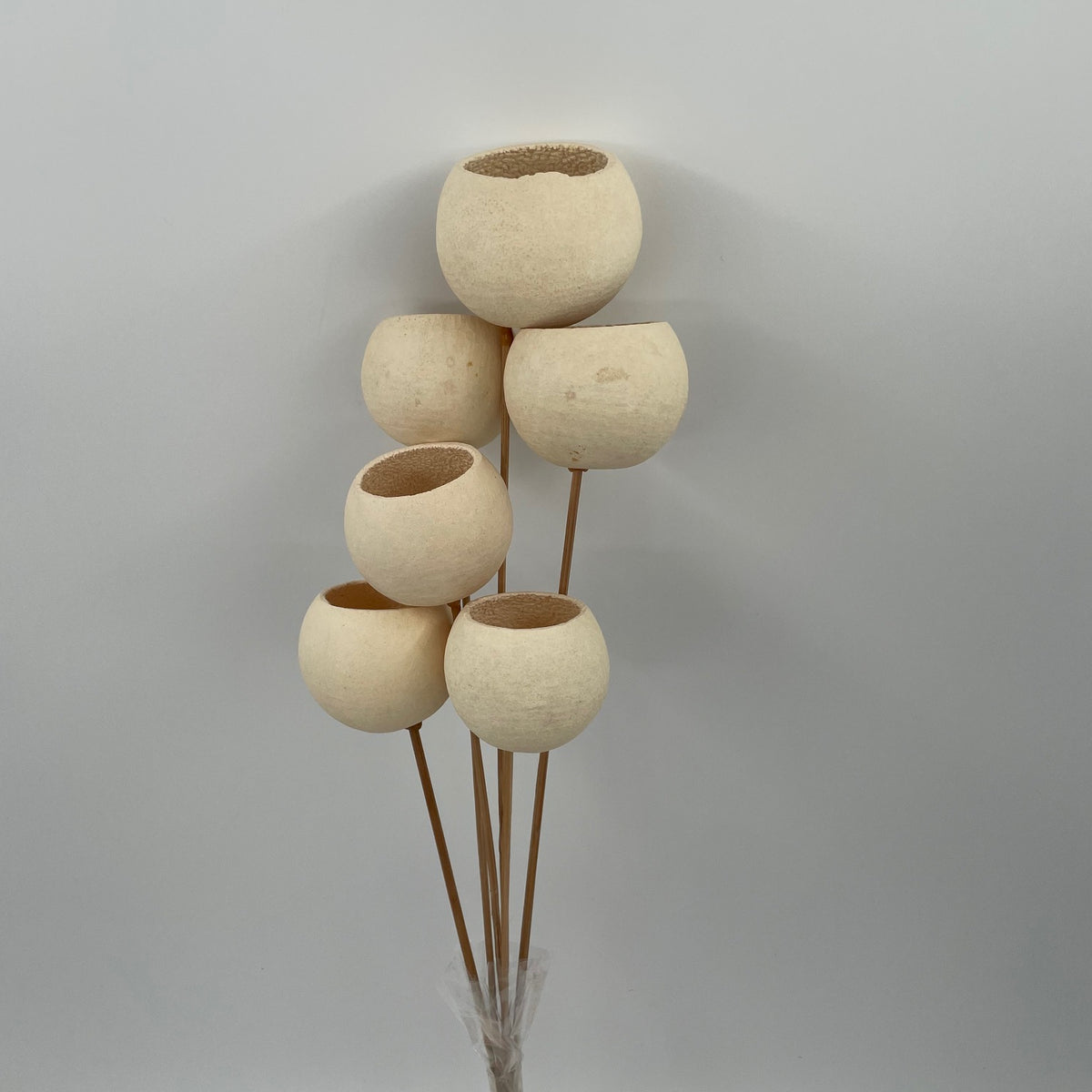 Bell Cap Stem – EK Home