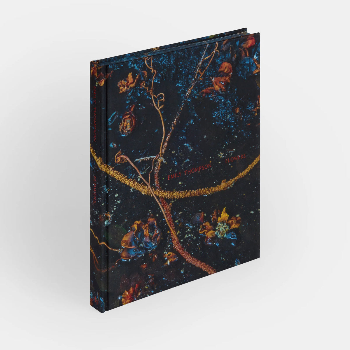 Flowers by Emily Thompson – EK Home